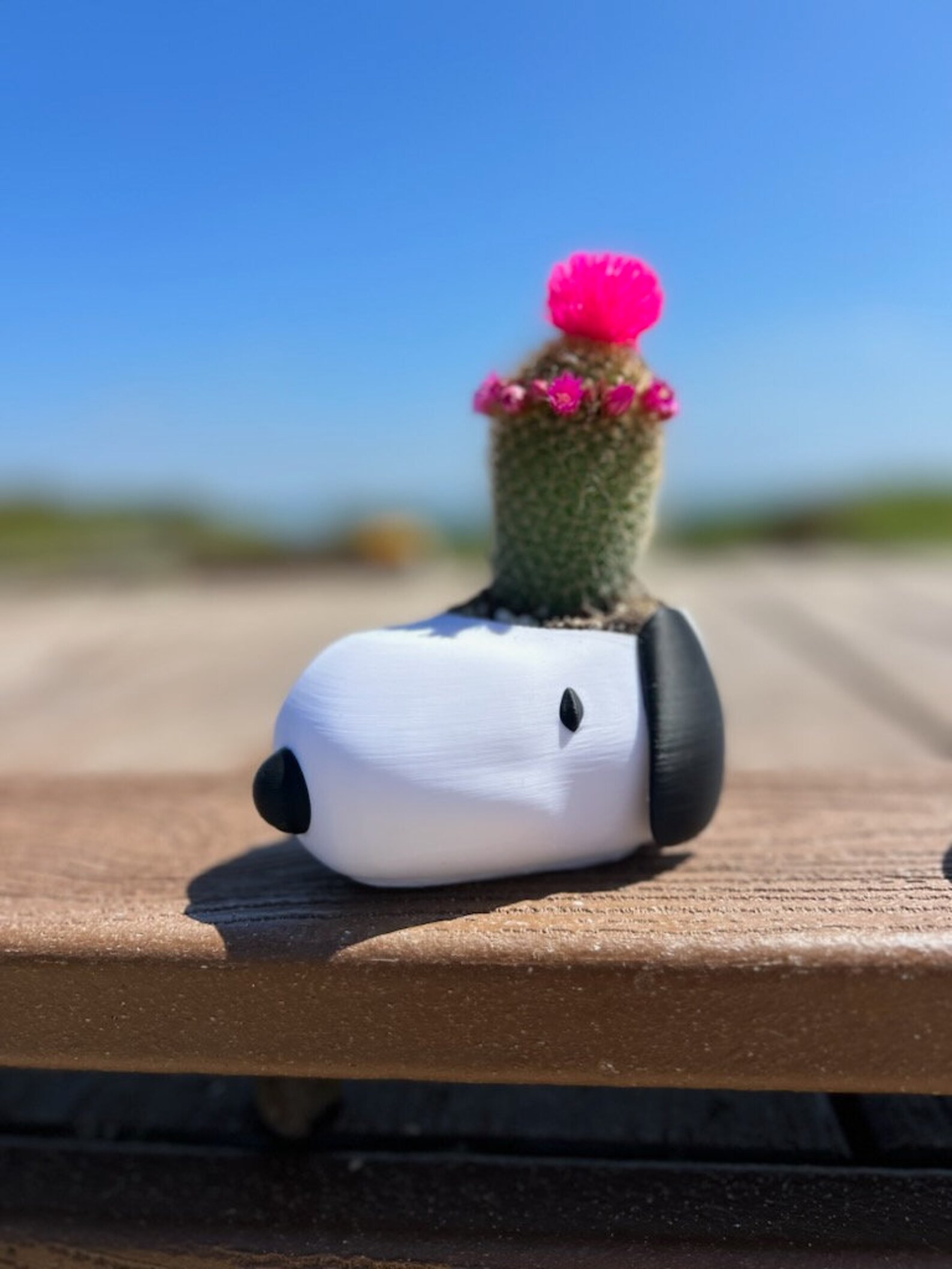 Snoopy Pot - Etsy