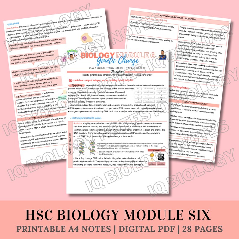 HSC Biology Module 5, 6, 7, 8 Notes - Entire Syllabus - Etsy Australia