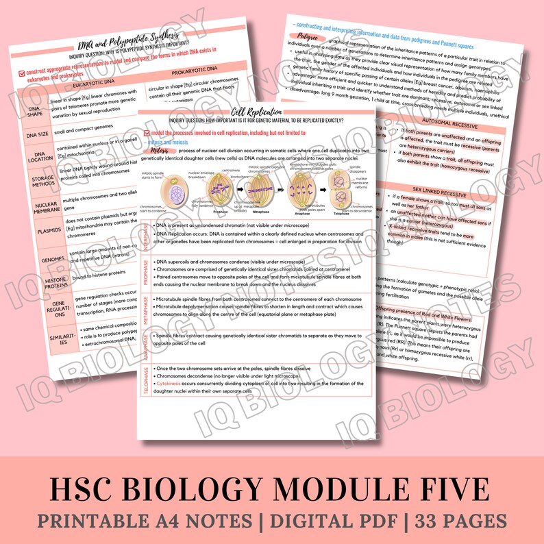 HSC Biology Module 5 Heredity - Entire Syllabus - Etsy