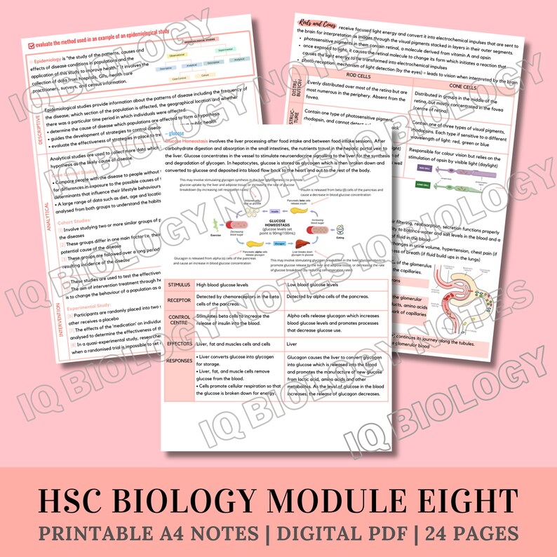 HSC Biology Module 5, 6, 7, 8 Notes - Entire Syllabus - Etsy Australia