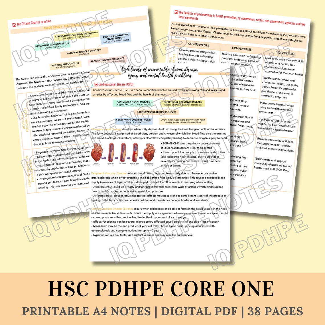 HSC PDHPE Core 1 Health Priorities in Australia - Entire Syllabus - Etsy
