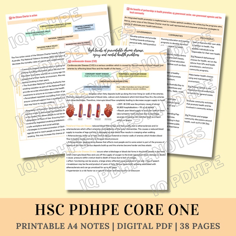 HSC PDHPE Core 1 Health Priorities in Australia - Entire Syllabus - Etsy