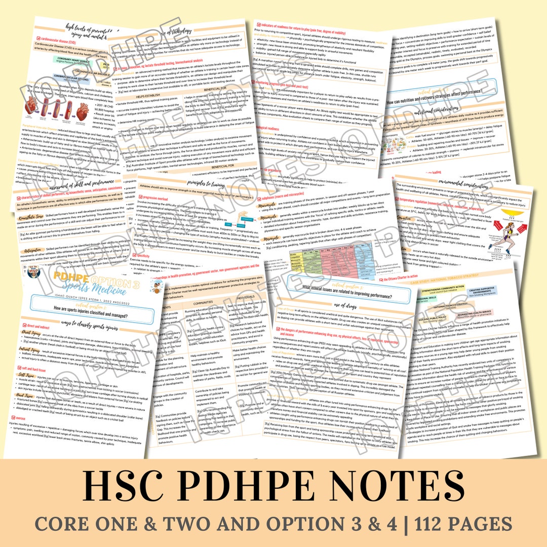 HSC PDHPE Core 1 and 2 , Option 3 and 4 Notes - Entire Syllabus - Etsy