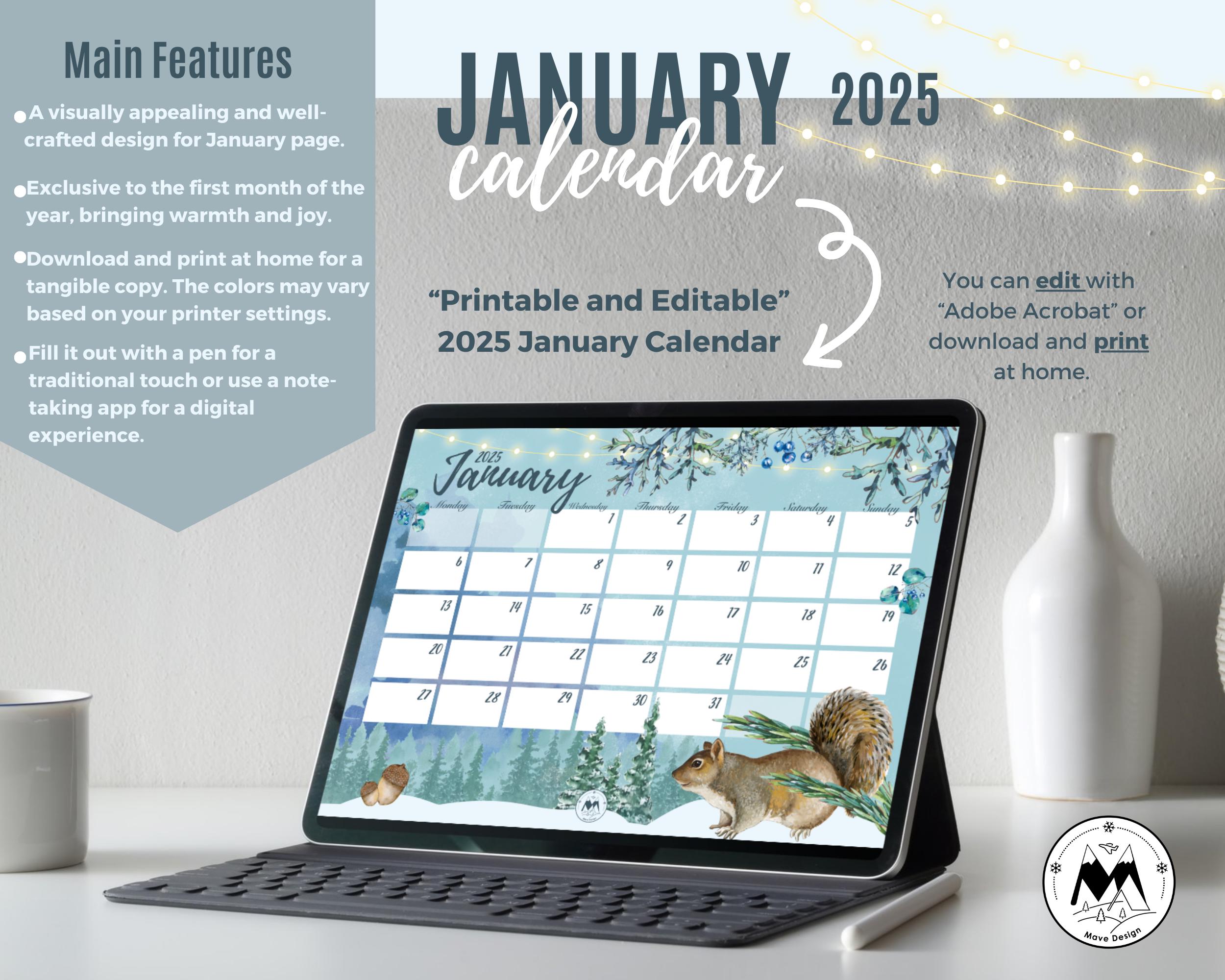 EDITABLE January 2025 Calendar, PRINTABLE January Calendar, New Year ...