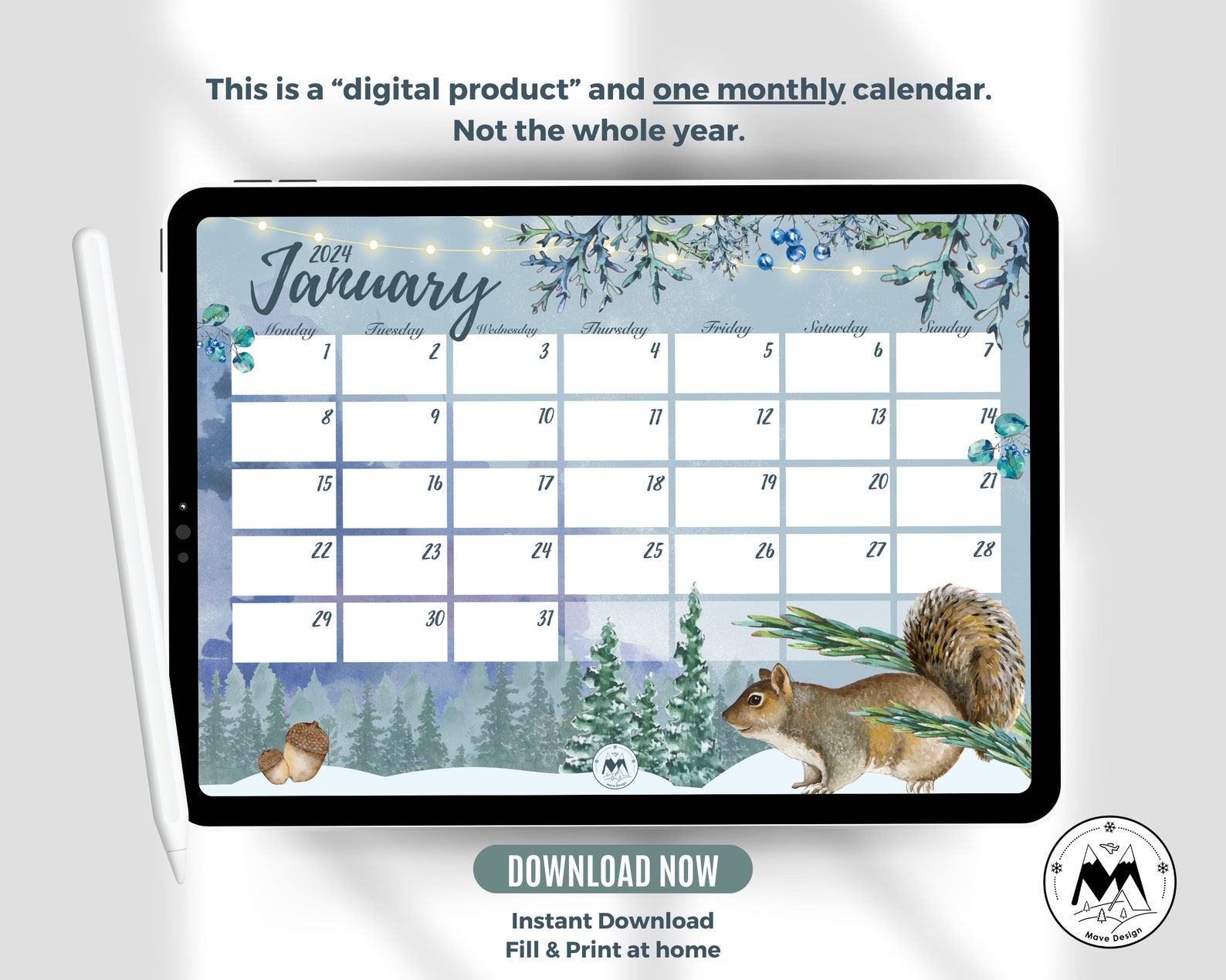 EDITABLE January 2024 Calendar, PRINTABLE January Calendar, New Year ...