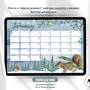 EDITABLE January 2024 Calendar, PRINTABLE January Calendar, New Year ...
