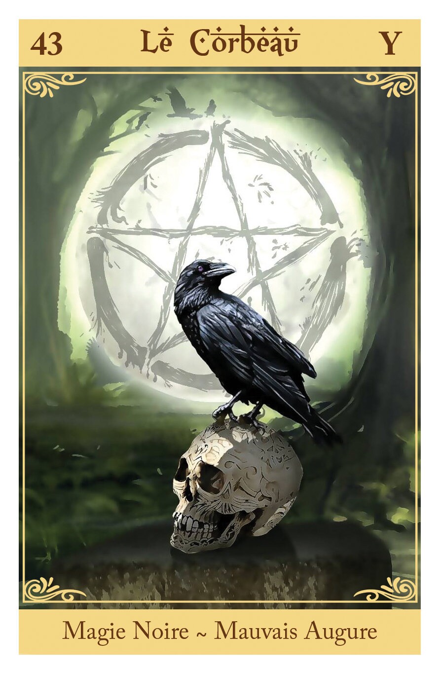 Oracle Magique du Marc de Café - Etsy France