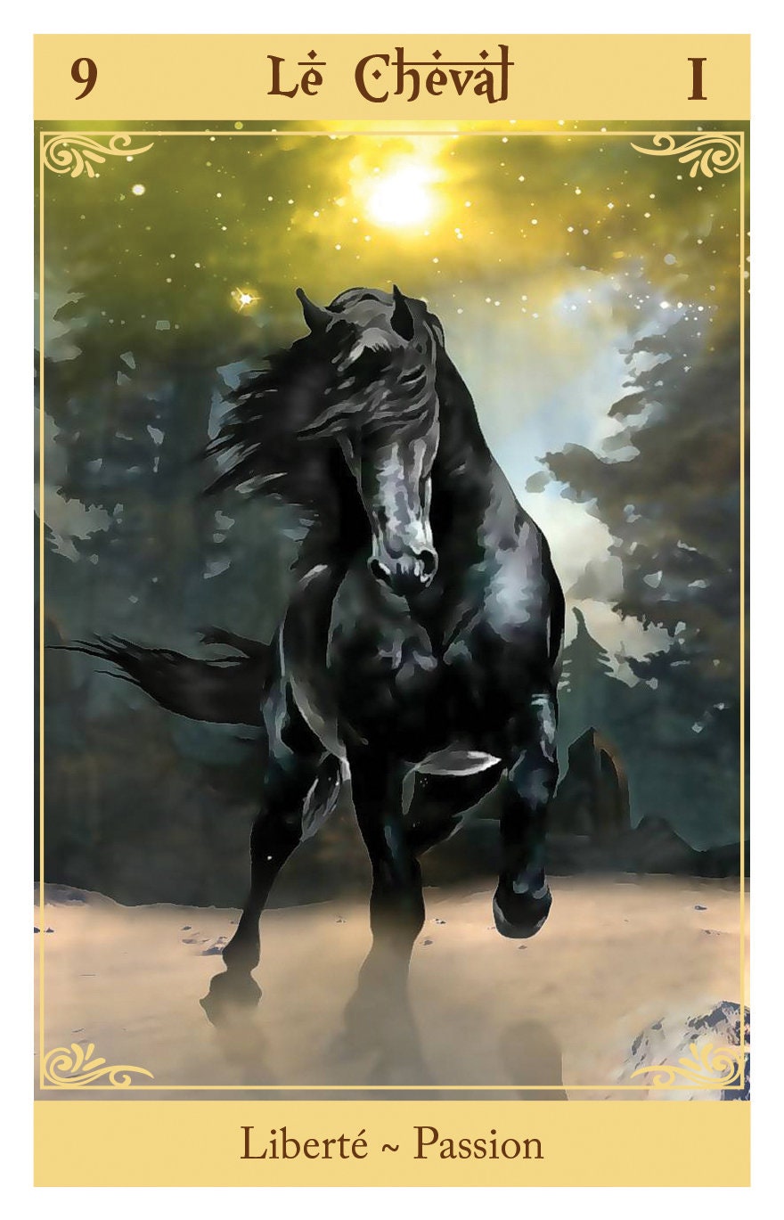 Oracle Magique du Marc de Café - Etsy France