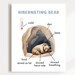 Hibernation Poster, Educational Poster, Homeschool Printables ...