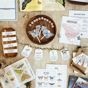 Spring Unit Study Pack, Homeschool Unit Study Bundle, Activity Pack ...