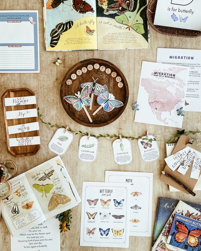 Spring Unit Study Pack, Homeschool Unit Study Bundle, Activity Pack ...