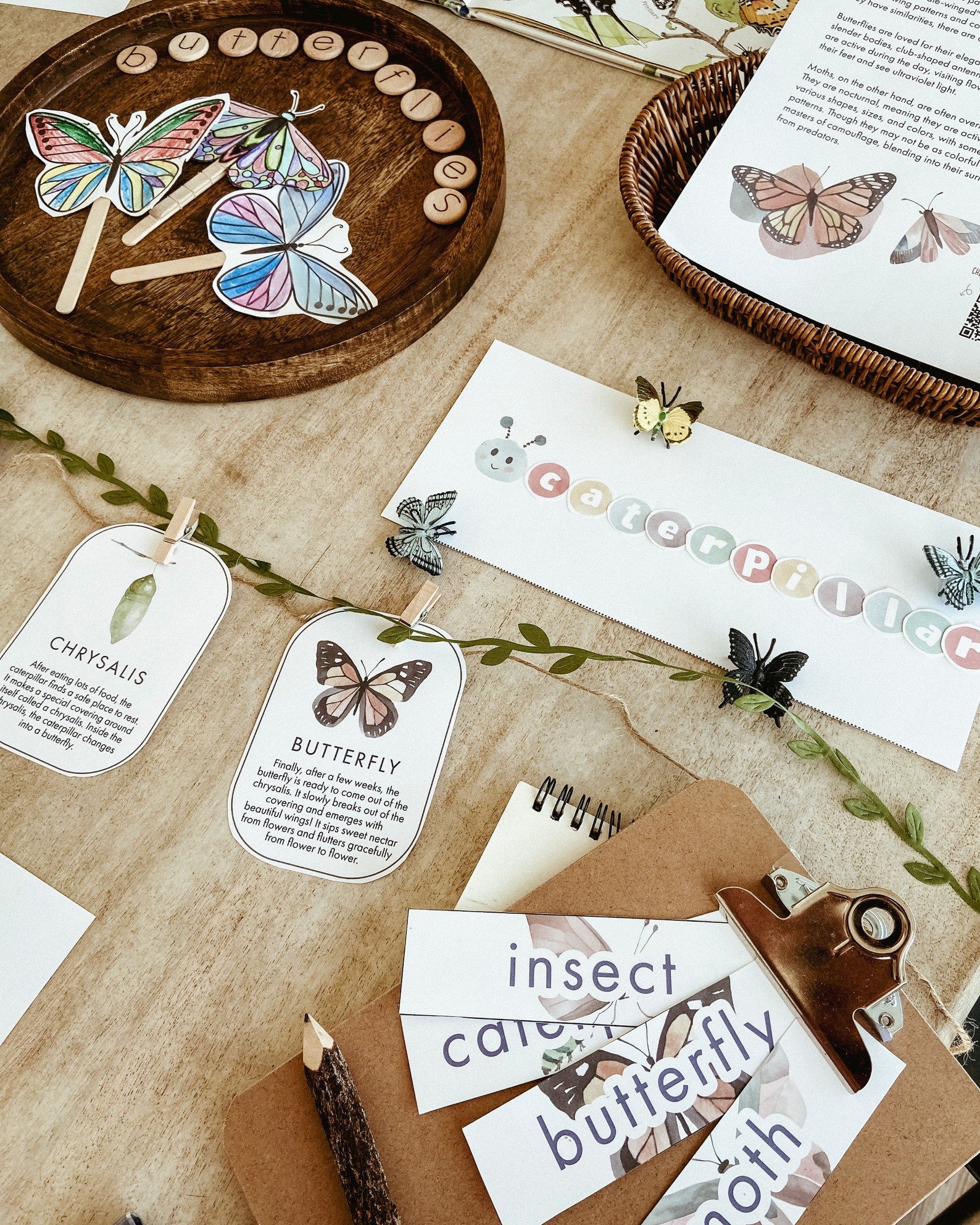 Butterfly and Moth Unit Study, Homeschool Unit Studies, Homeschool ...