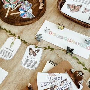 Butterfly and Moth Unit Study, Homeschool Unit Studies, Homeschool ...
