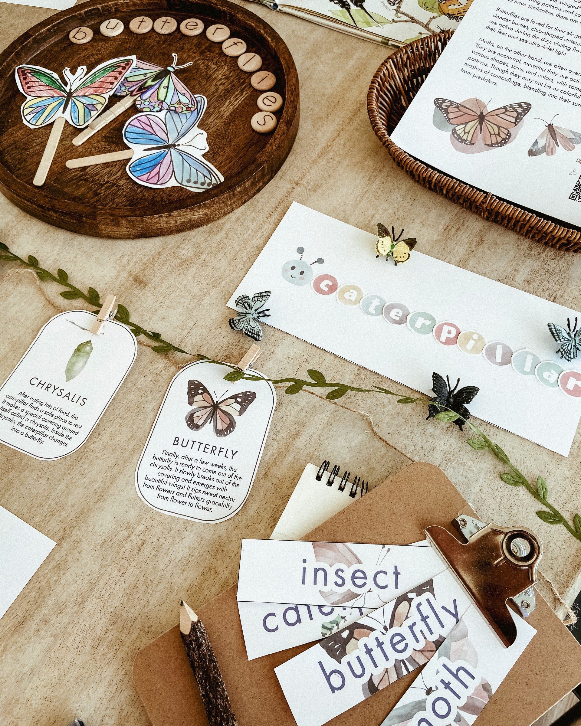 Butterfly and Moth Unit Study, Homeschool Unit Studies, Homeschool ...