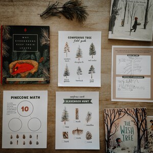 Winter Unit Study Bundle, Homeschool Unit Studies, Homeschool ...