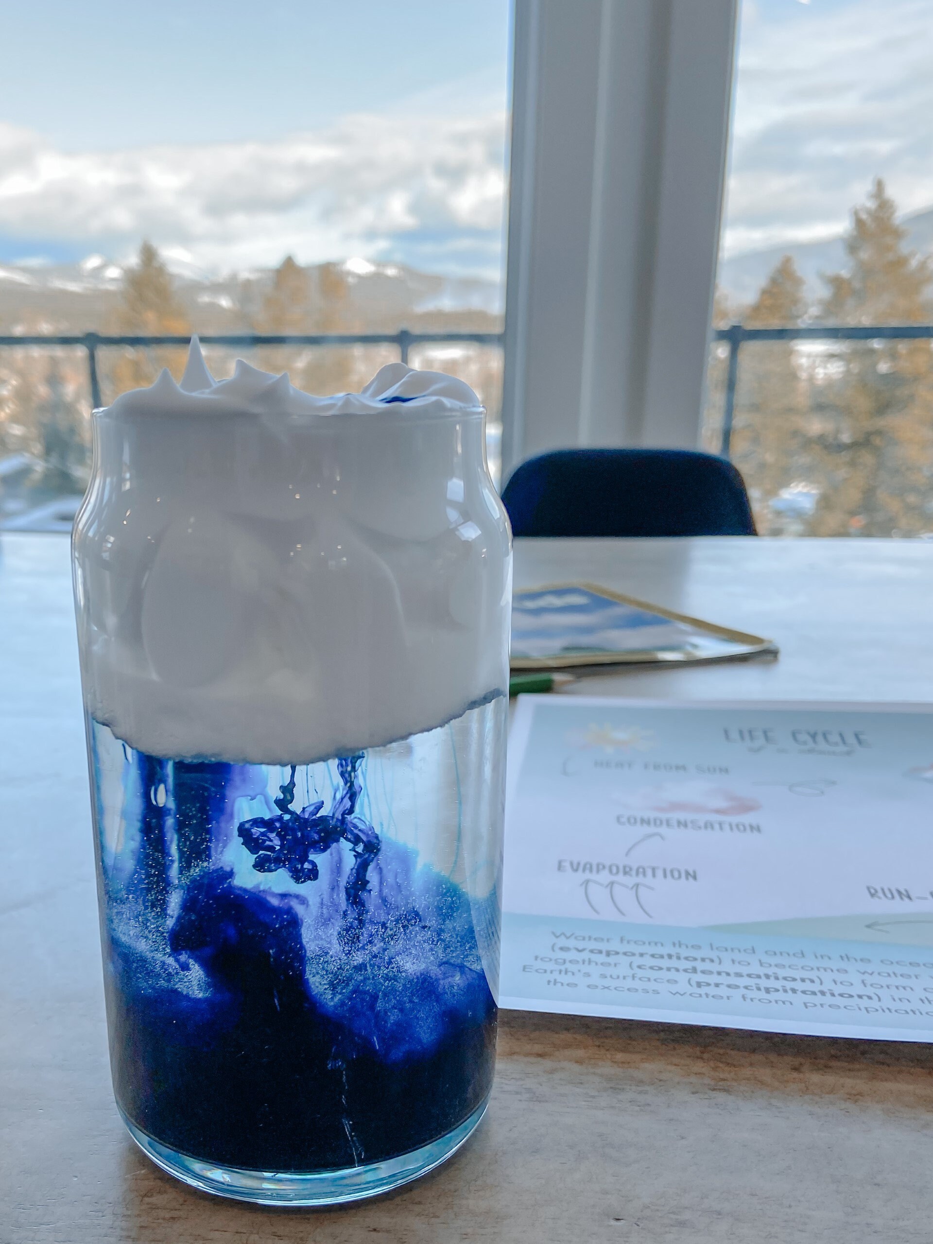 Cloud Unit Study, Cloud Activity Pack, Homeschool Unit Study, Homeschool, Charlotte Mason ...