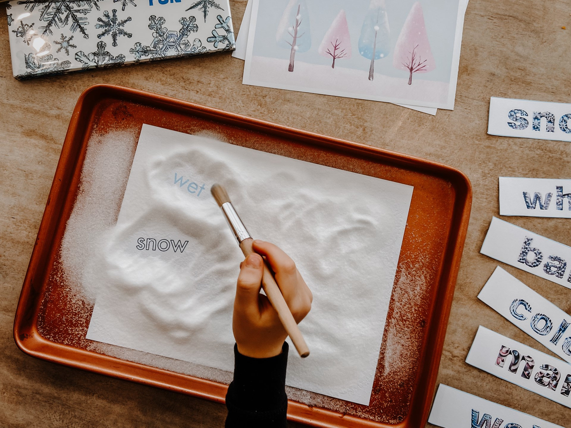 Snow Unit Study, Homeschool Printables, Charlotte Mason Inspired ...