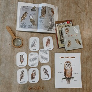 Owl Unit Study, Homeschool Unit Study, Homeschool Printables, Charlotte ...