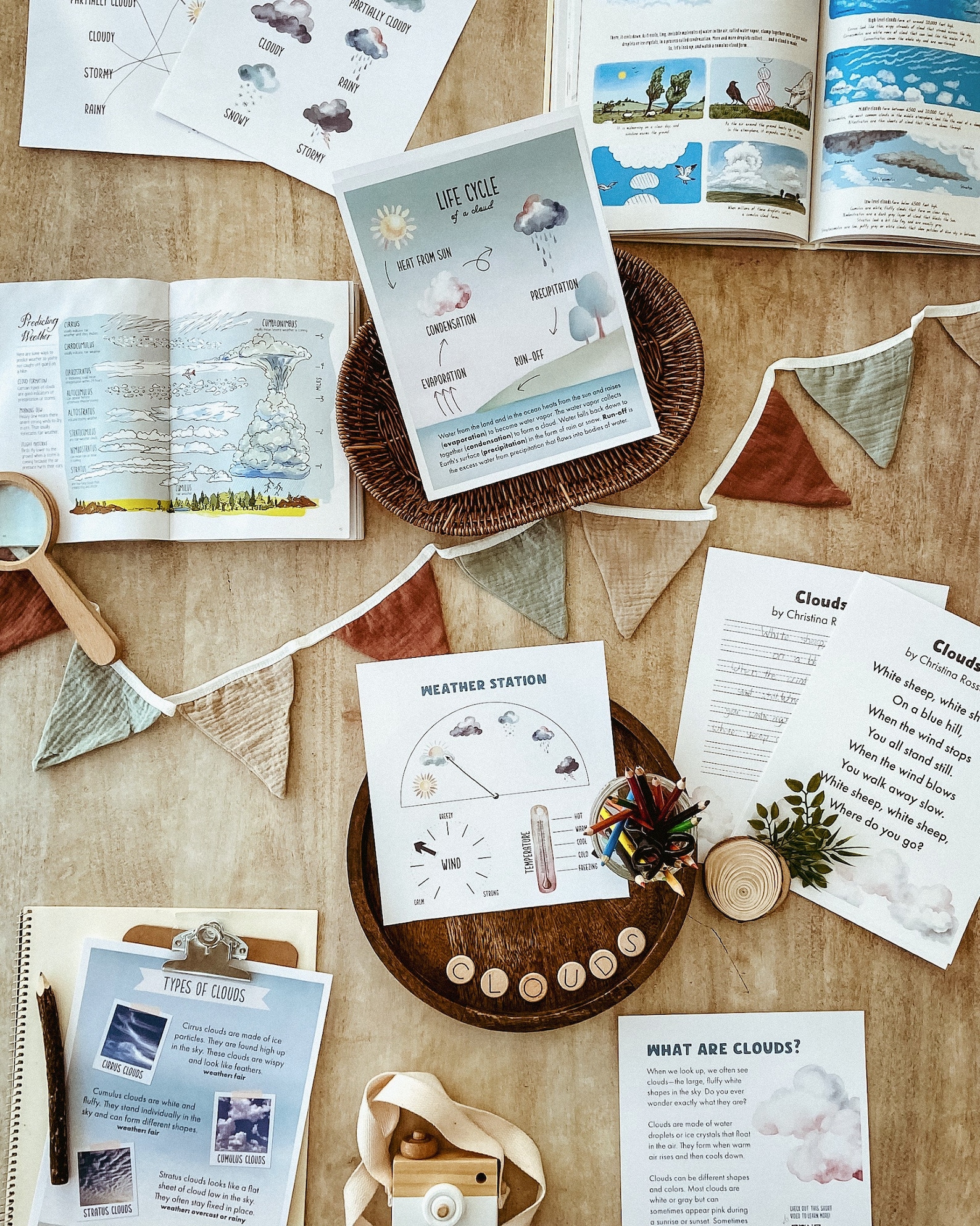 Cloud Unit Study, Cloud Activity Pack, Homeschool Unit Study, Homeschool, Charlotte Mason ...