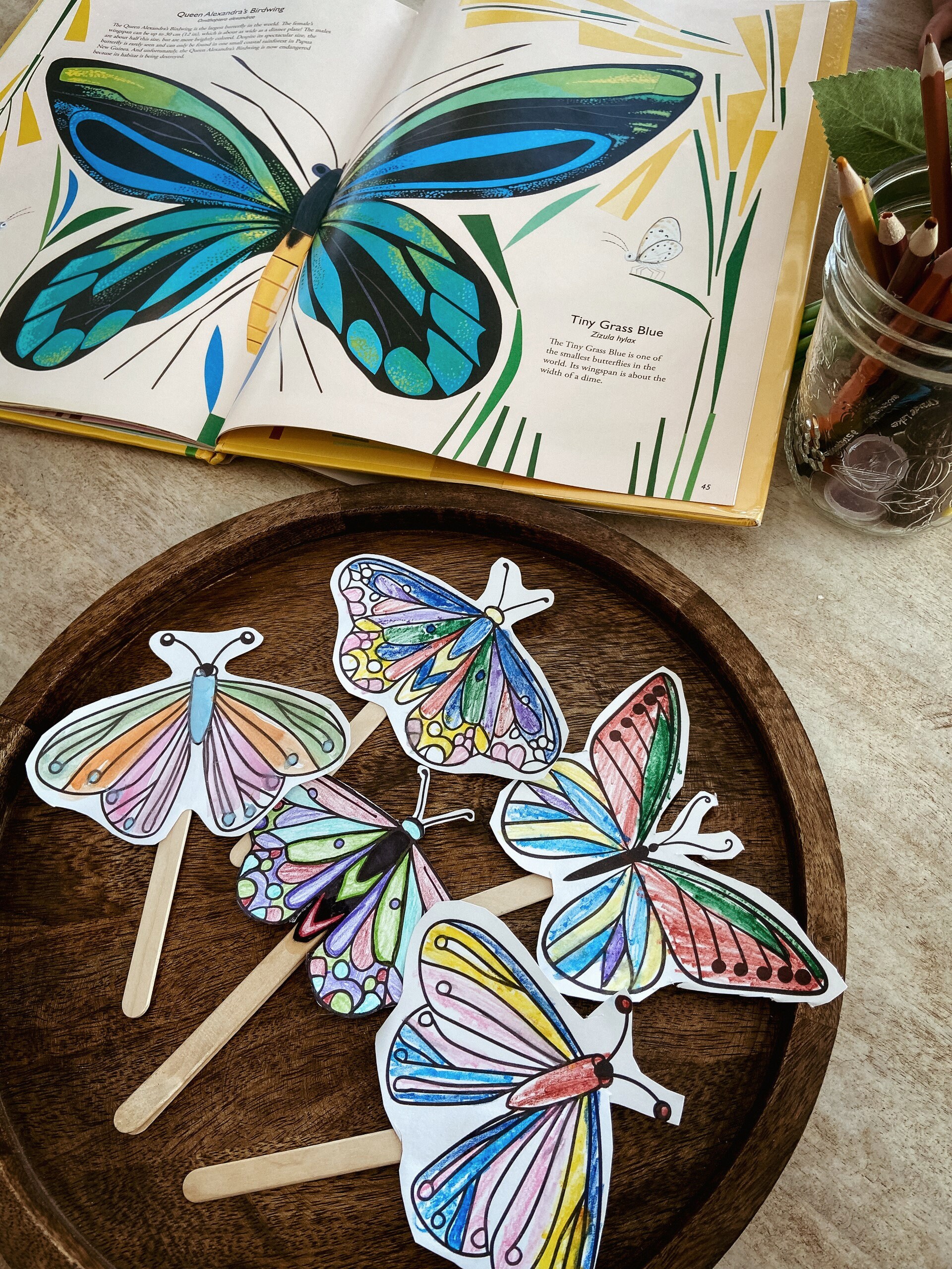 Butterfly and Moth Unit Study, Homeschool Unit Studies, Homeschool ...