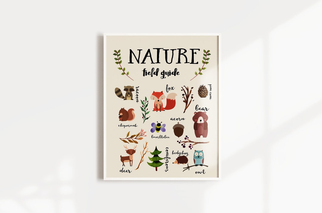 Nature Field Guide Poster, Woodland Printable, Animals, Educational ...