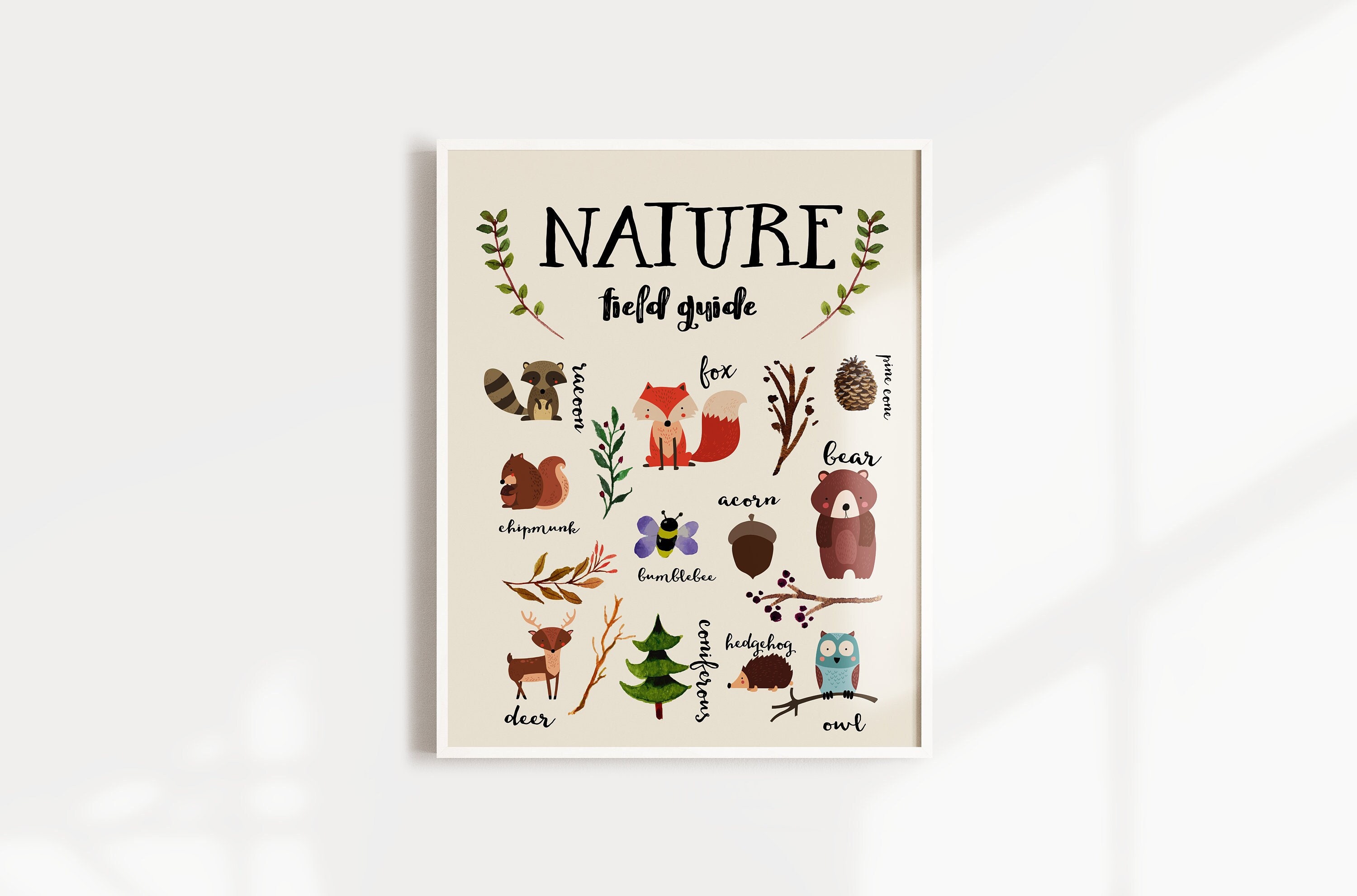 Nature Field Guide Poster, Woodland Printable, Animals, Educational ...