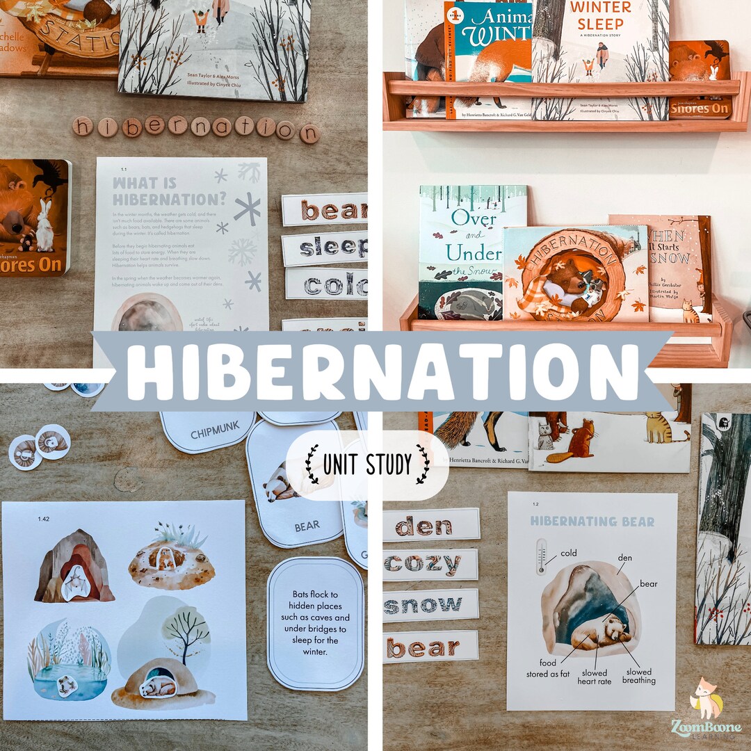 Hibernation Unit Study, Homeschool Printables, Charlotte Mason Inspired ...