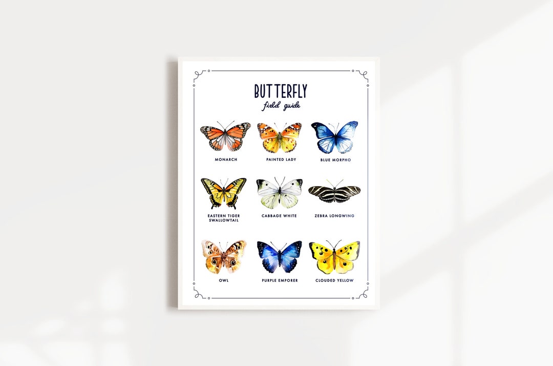 Butterfly Field Guide , Educational Poster, Homeschool Printables ...