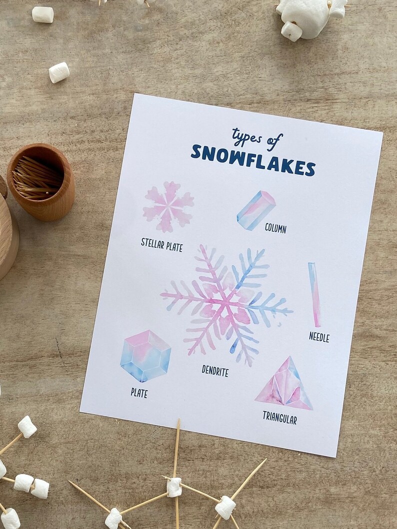 Snowflake Poster, Educational Poster, Homeschool Printables, Charlotte ...