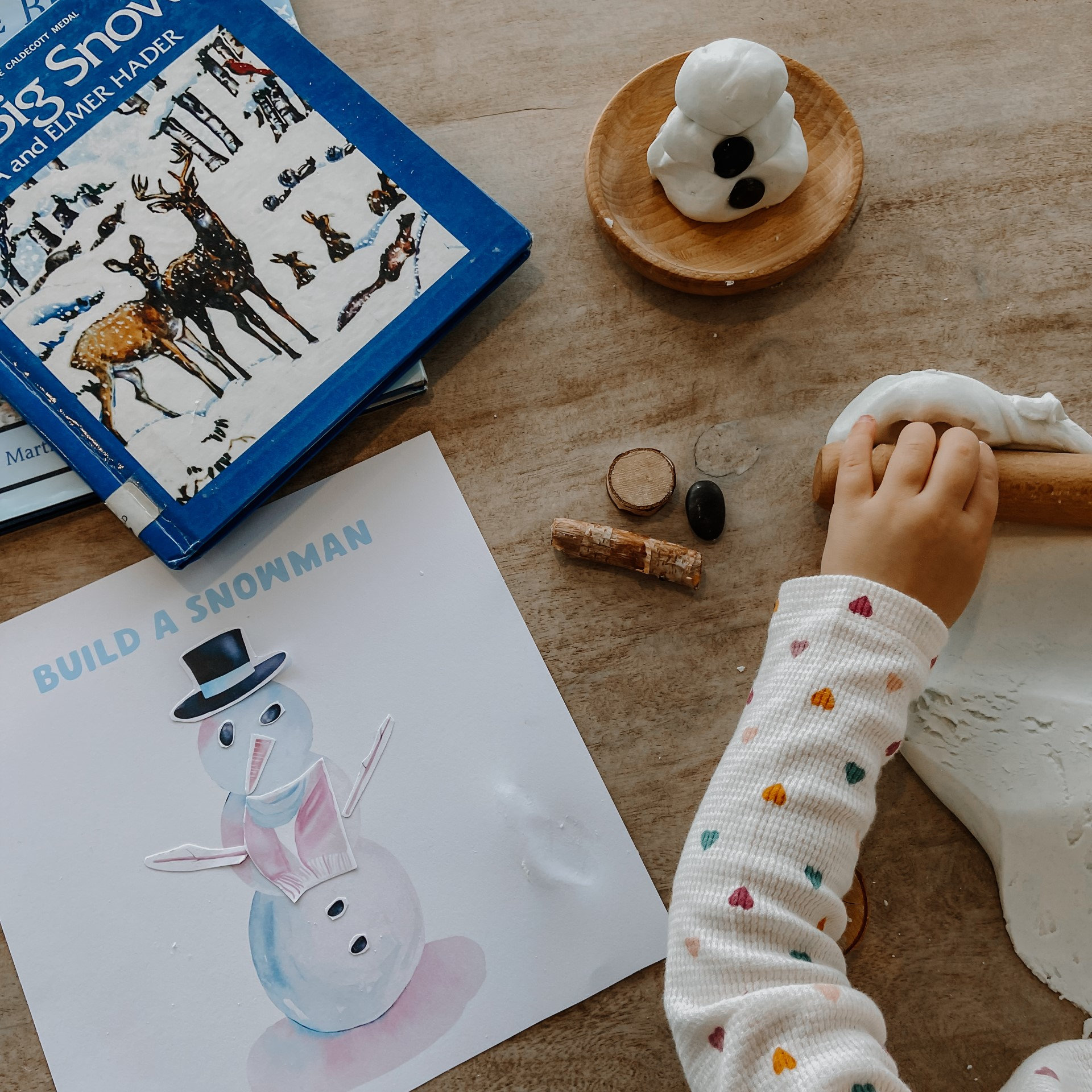 Snow Unit Study, Homeschool Printables, Charlotte Mason Inspired ...