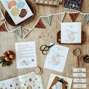 Spring Unit Study Pack, Homeschool Unit Study Bundle, Activity Pack ...