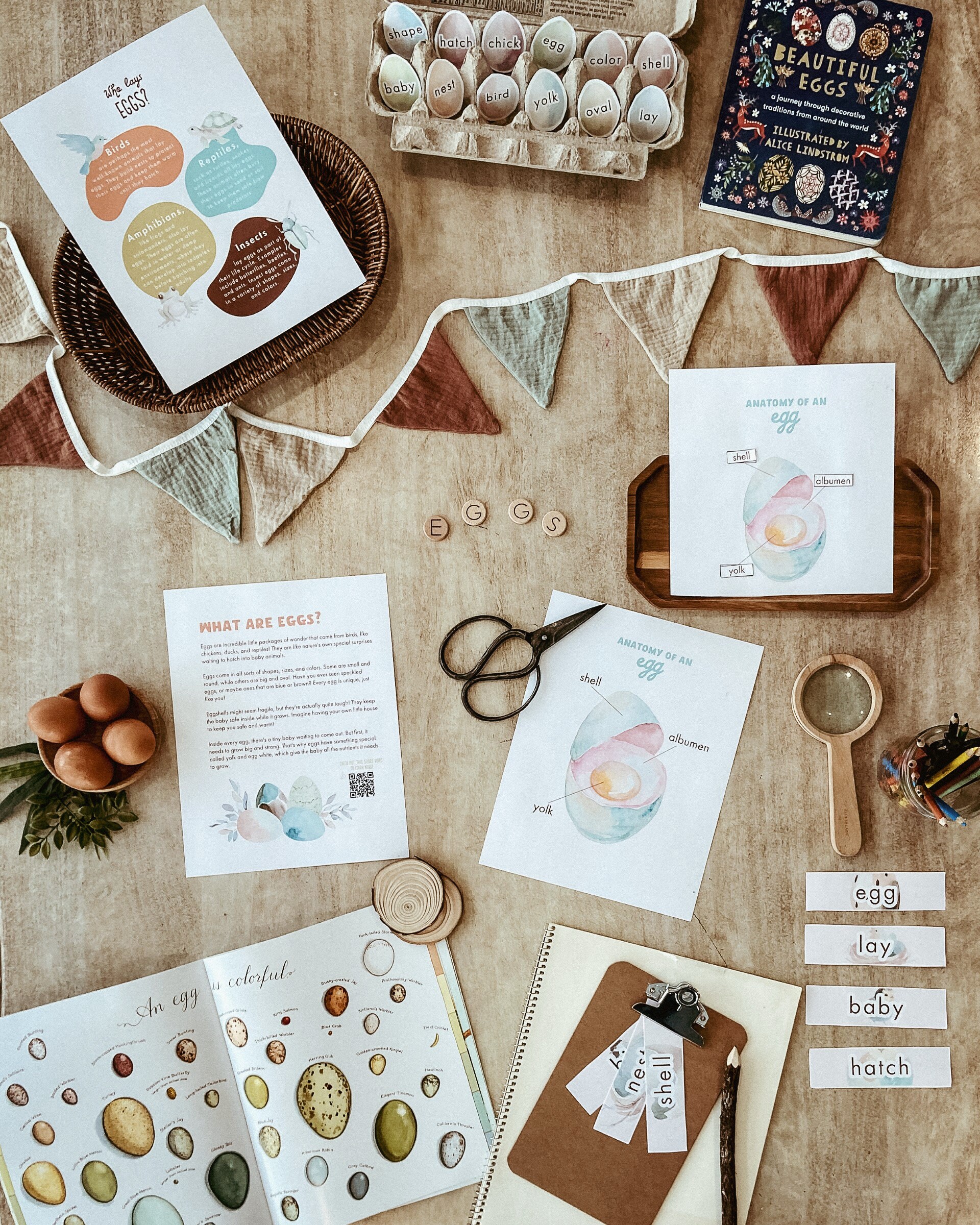 Spring Unit Study Pack, Homeschool Unit Study Bundle, Activity Pack ...