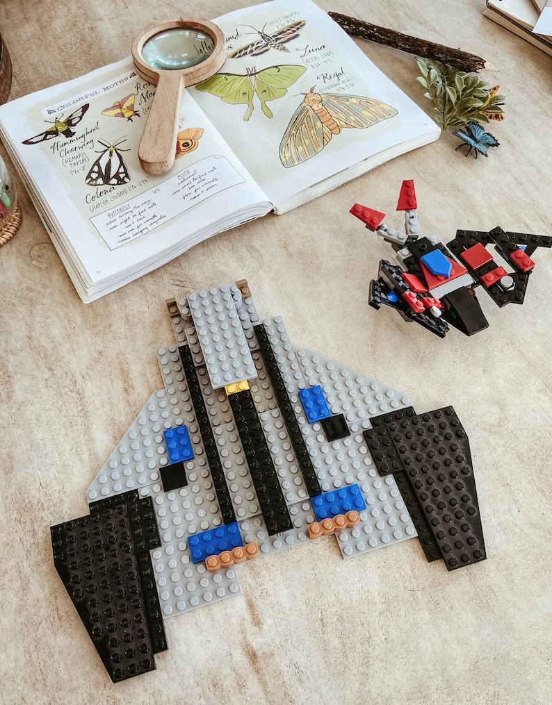 Butterfly and Moth Unit Study, Homeschool Unit Studies, Homeschool ...