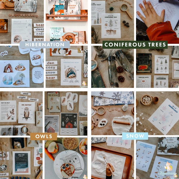 Unit Study Homeschool - Etsy