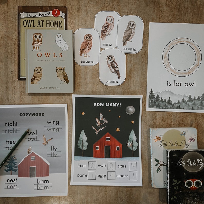 Owl Unit Study, Homeschool Unit Study, Homeschool Printables, Charlotte ...