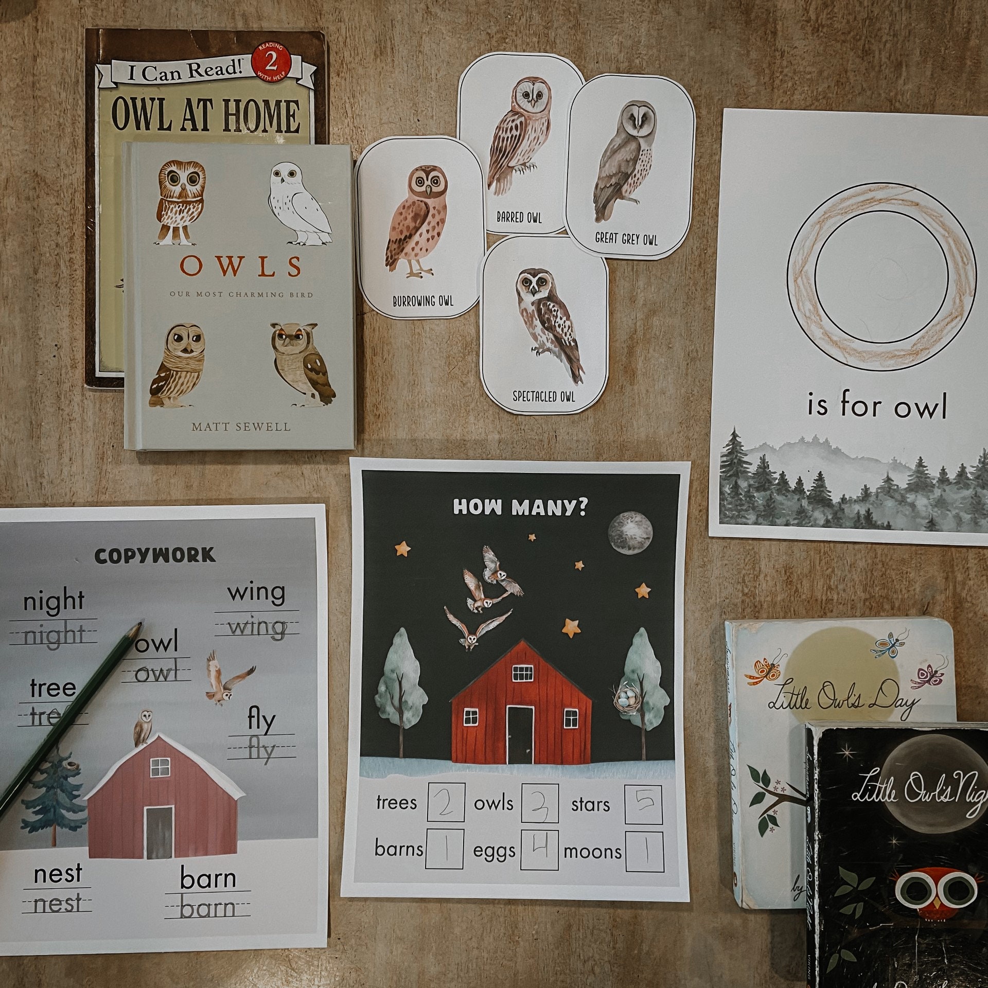 Owl Unit Study, Homeschool Unit Study, Homeschool Printables, Charlotte ...