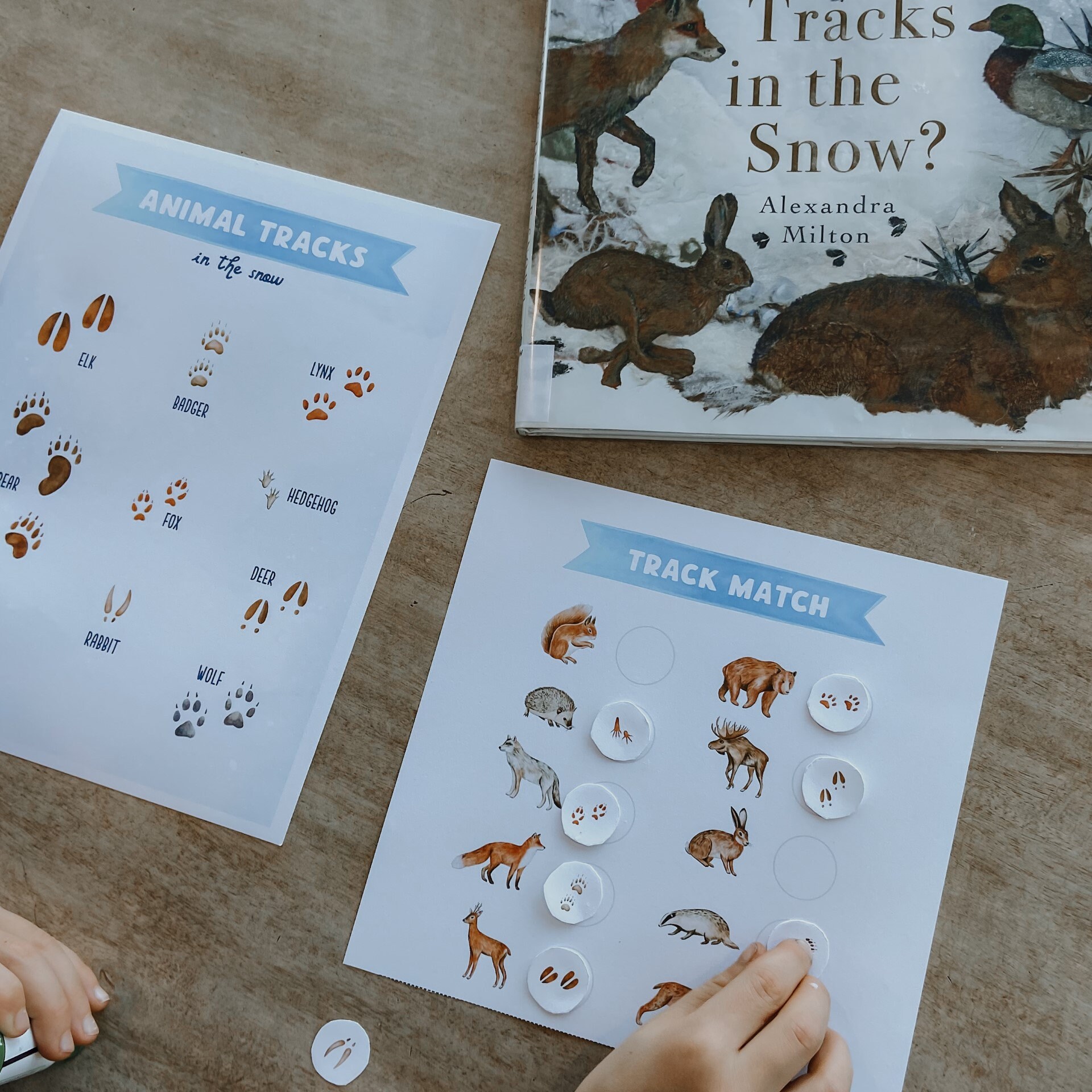 Snow Unit Study, Homeschool Printables, Charlotte Mason Inspired ...