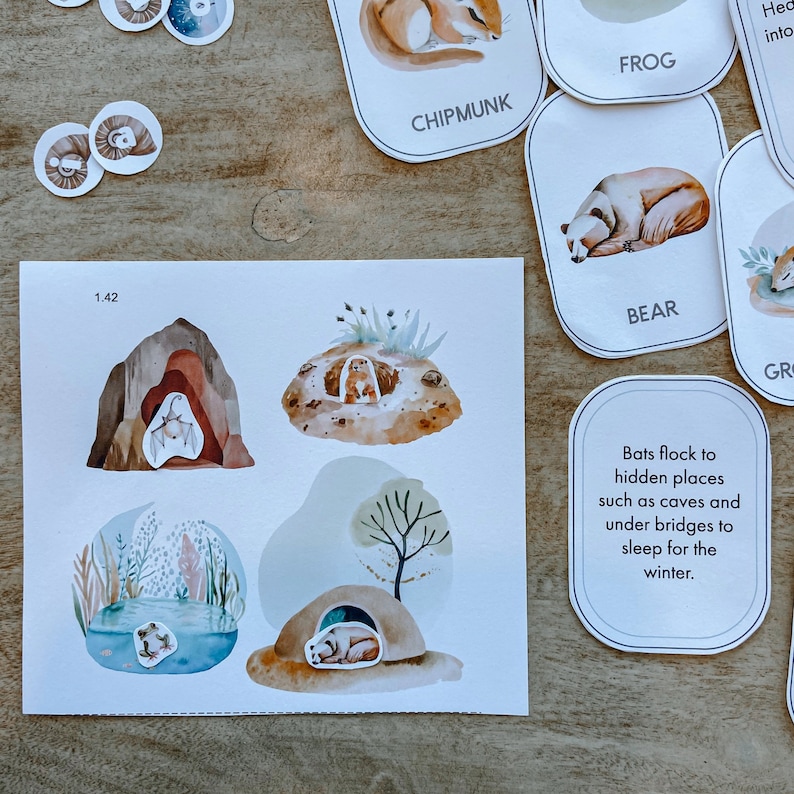 Hibernation Unit Study, Homeschool Printables, Charlotte Mason Inspired ...