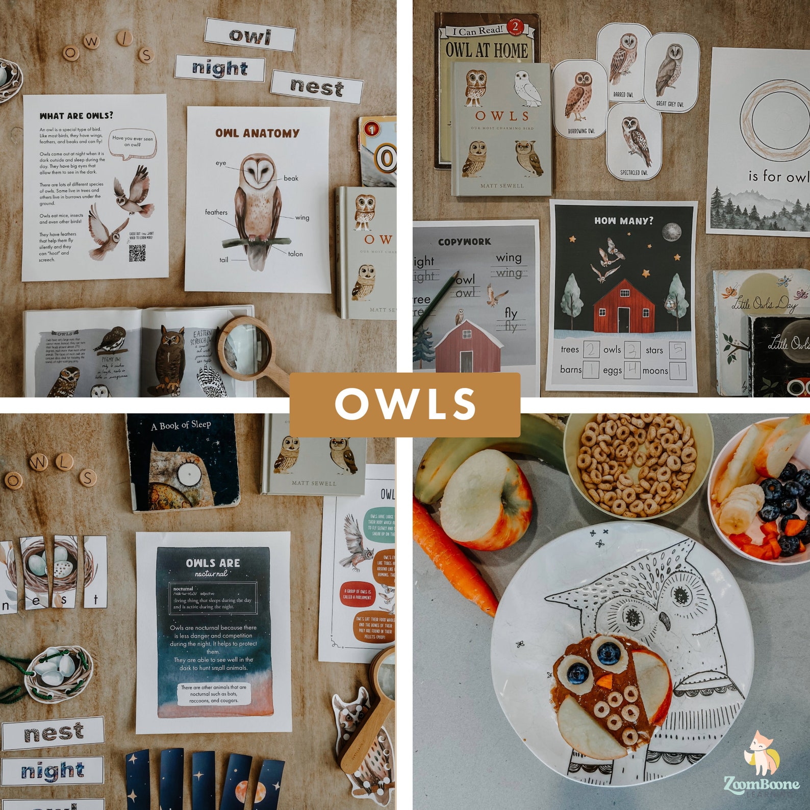 Owl Unit Study, Homeschool Unit Study, Homeschool Printables, Charlotte ...