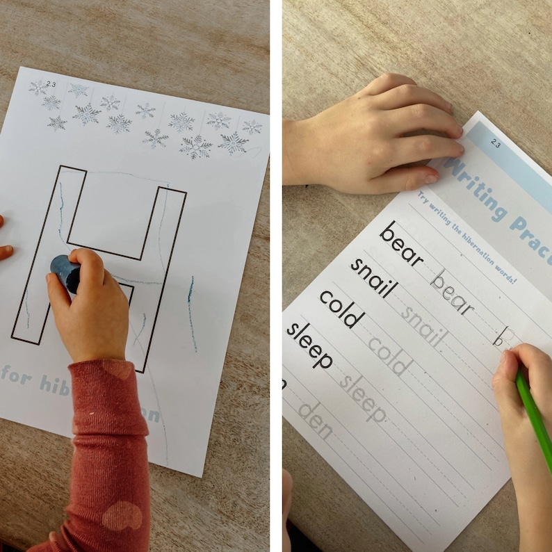 Hibernation Unit Study, Homeschool Printables, Charlotte Mason Inspired ...