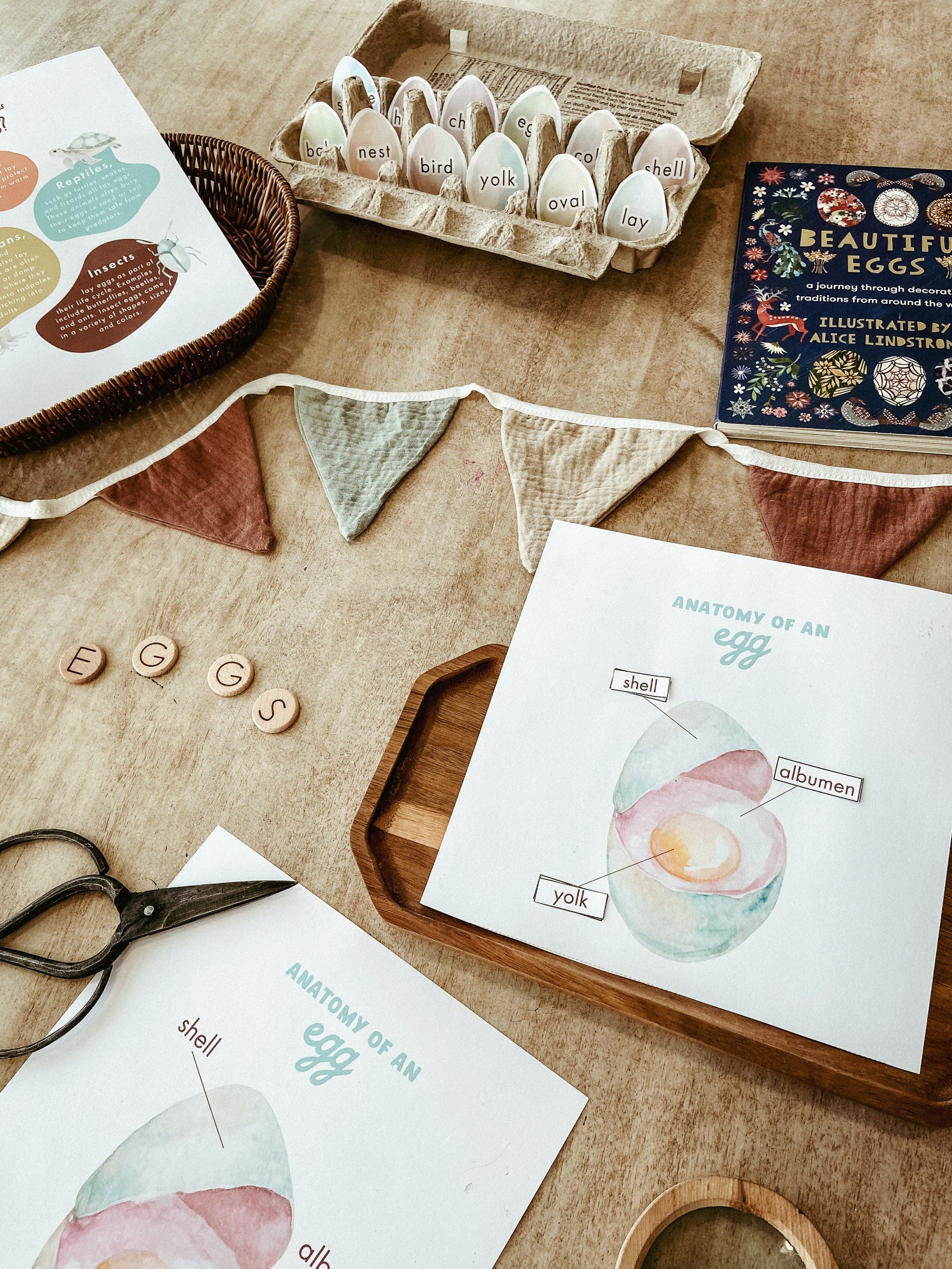 Egg Unit Study, Homeschool Unit Studies, Homeschool Printables, Egg ...