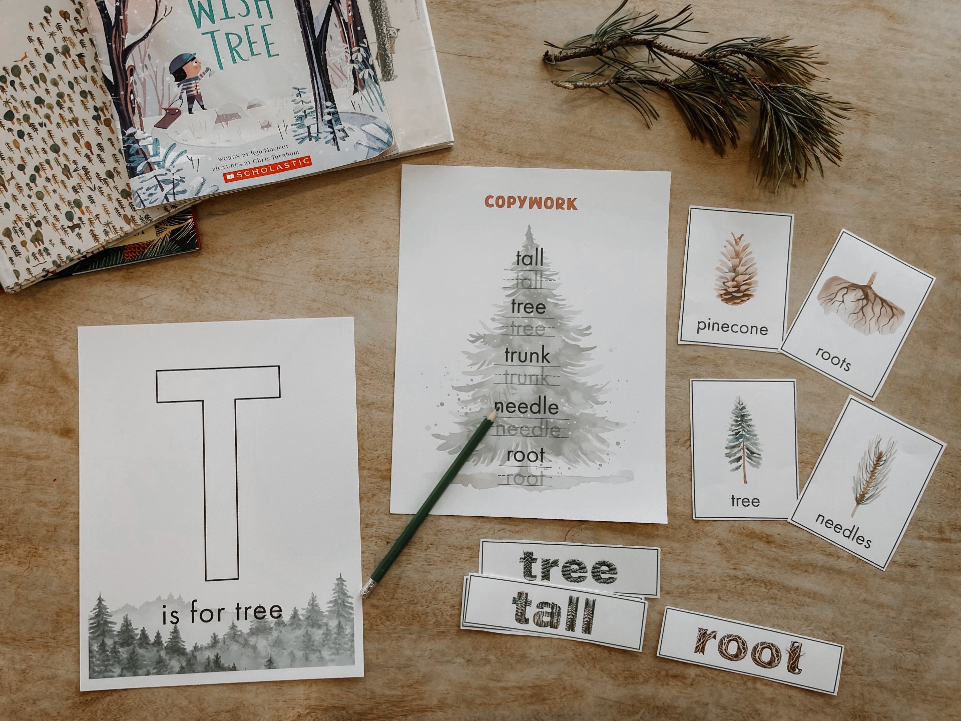 Coniferous Trees Unit Study, Homeschool Printables, Charlotte Mason ...