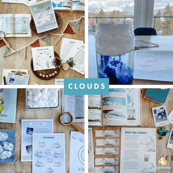 ZoombooneLearning - Etsy Canada