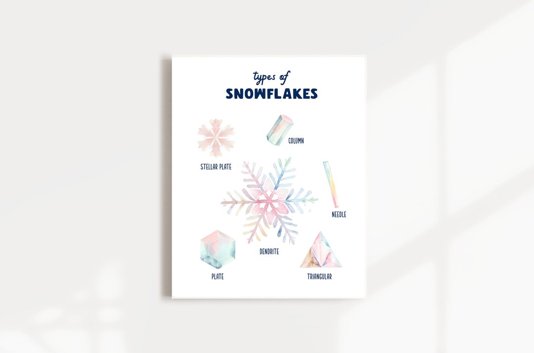 Snowflake Poster, Educational Poster, Homeschool Printables, Charlotte ...