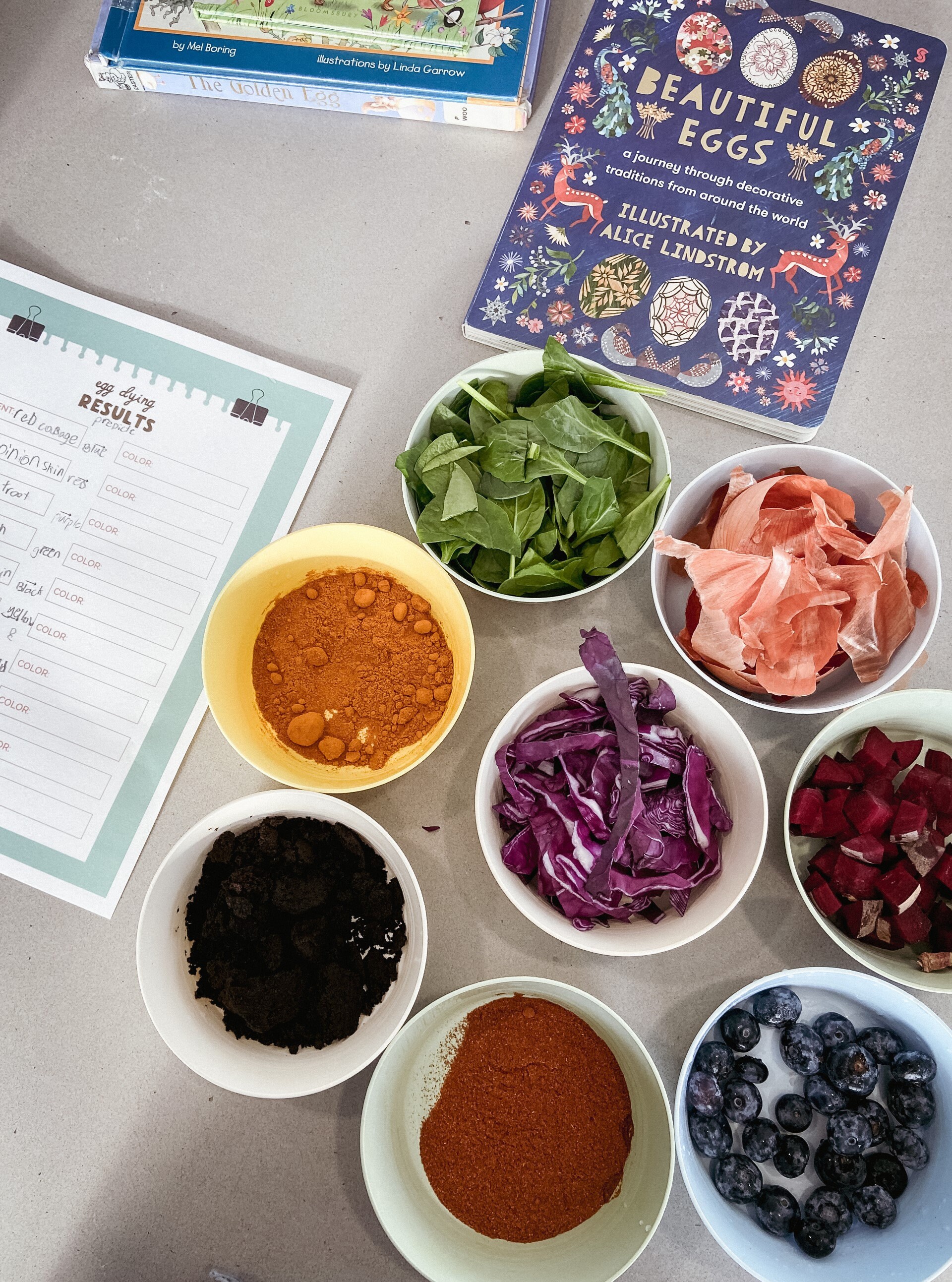 Egg Unit Study, Homeschool Unit Studies, Homeschool Printables, Egg ...