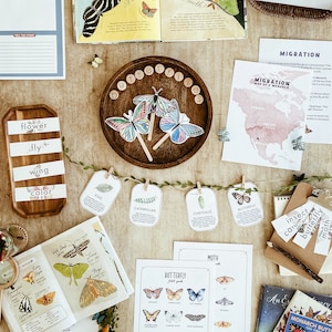 Butterfly and Moth Unit Study, Homeschool Unit Studies, Homeschool ...