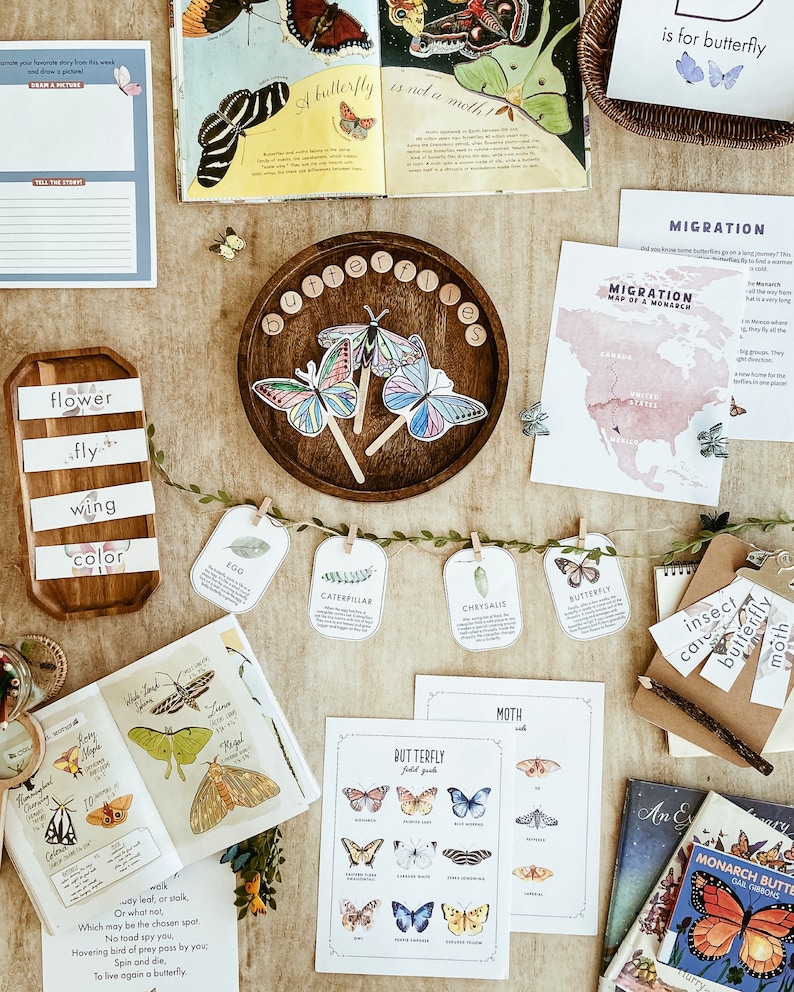 Butterfly and Moth Unit Study, Homeschool Unit Studies, Homeschool ...