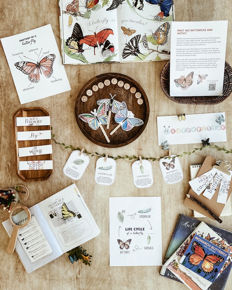 Butterfly and Moth Unit Study, Homeschool Unit Studies, Homeschool ...