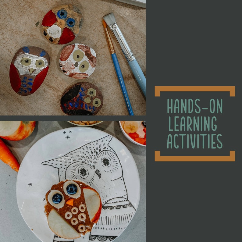 Owl Unit Study, Homeschool Unit Study, Homeschool Printables, Charlotte ...