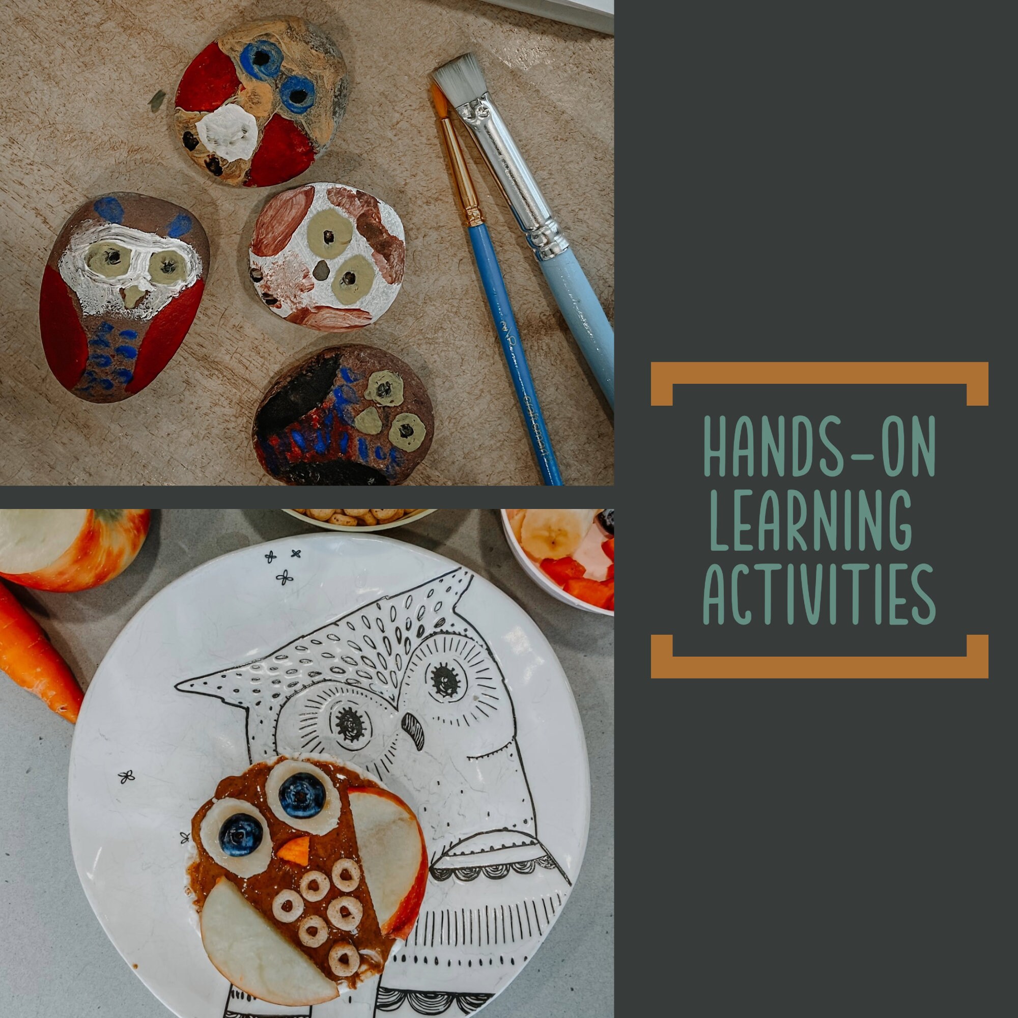 Owl Unit Study, Homeschool Unit Study, Homeschool Printables, Charlotte ...